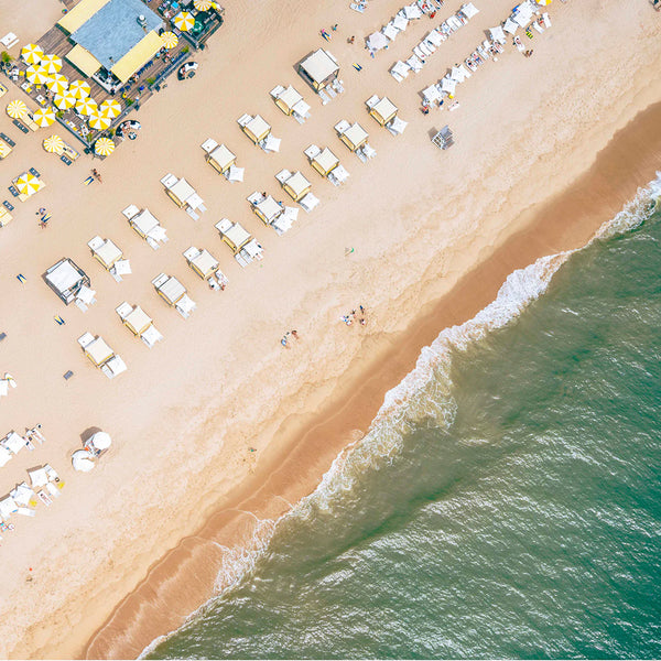 'Gurney's Life' by Dinesh Boaz - Aimée Wilder