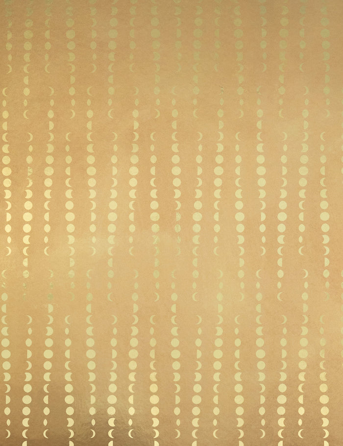 Earthlight Wallpaper - Aimée Wilder