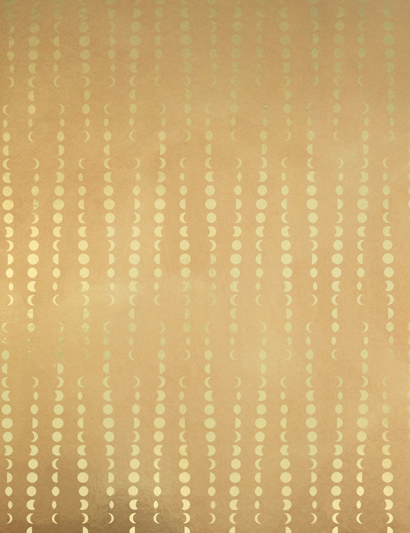 Earthlight Wallpaper - Aimée Wilder